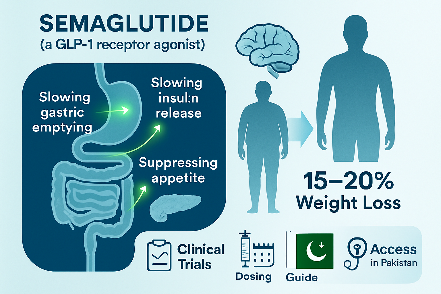 Semaglutide Weight Loss Science | Pakistan Guide
